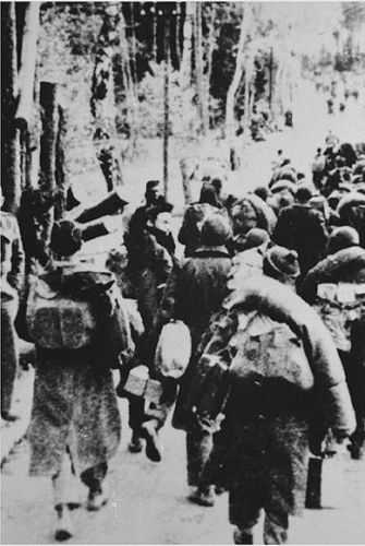 The long, awful march from Stalag Luft IV – WW2: The Big One